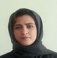 Collaborators - Mohammad H. Nadimi-Shahraki